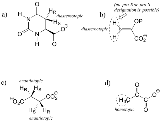 5.7: Stereochemistry in Chemical Reactions - Chemistry LibreTexts