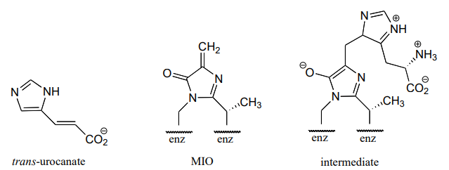 13.E: Reacciones en el α-Carbono, Parte II (Ejercicios) - LibreTexts ...