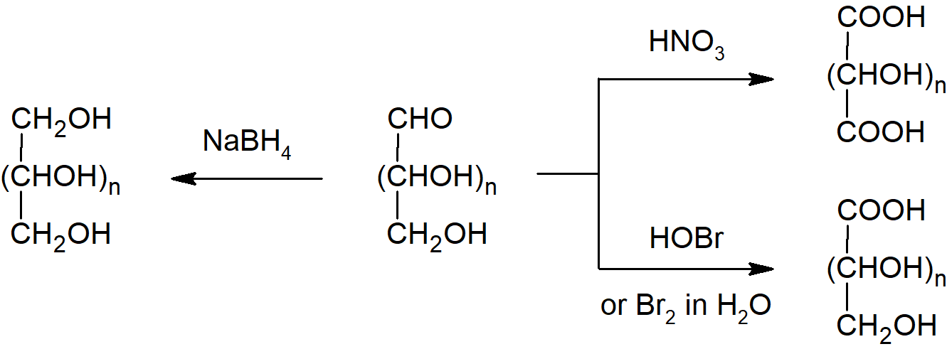 11.S: Biomolecules- Carbohydrates (Summary) - Chemistry LibreTexts