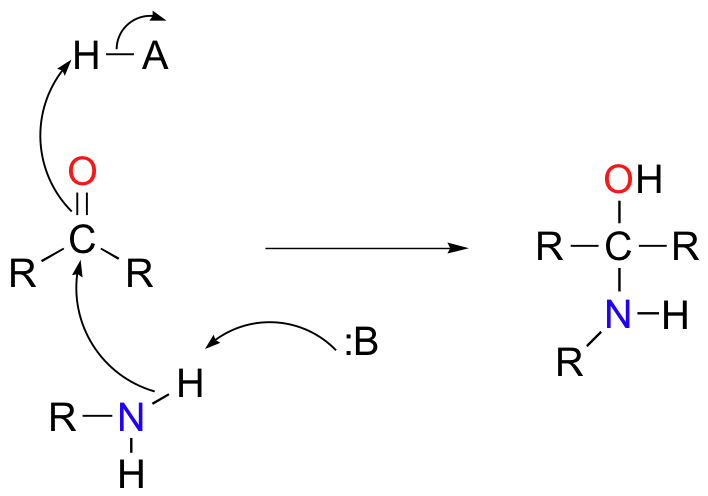 11.6: Imine (Schiff base) formation - Chemistry LibreTexts