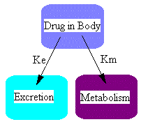 7.3: The phases of Drug Action - Chemistry LibreTexts