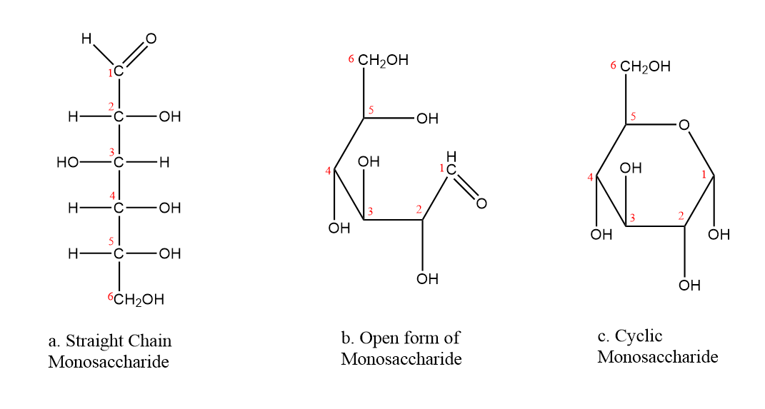 Monosaccharide Molecule Structure