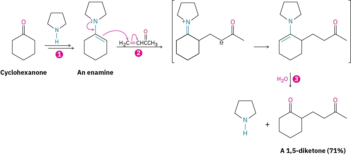 23.11: Carbonyl Condensations with Enamines - The Stork Enamine ...