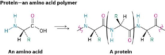 8.10: Radical Additions to Alkenes - Chain-Growth Polymers - Chemistry ...