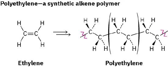 8.10: Radical Additions to Alkenes - Chain-Growth Polymers - Chemistry ...