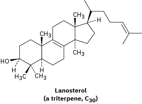 8.15: Chemistry Matters—Terpenes- Naturally Occurring Alkenes ...