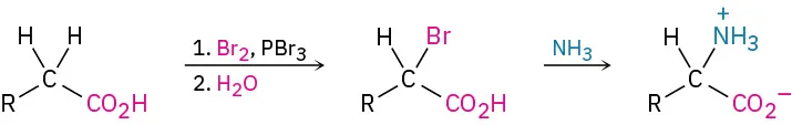 26.15: Summary of Reactions - Chemistry LibreTexts
