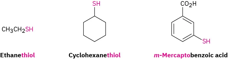 18.8: Thiols and Sulfides - Chemistry LibreTexts