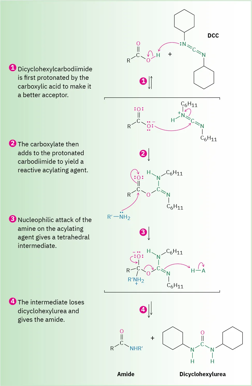 21.4: Reactions of Carboxylic Acids - Chemistry LibreTexts