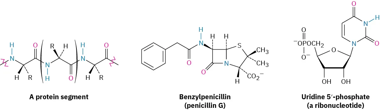 21.7: Chemistry of Amides - Chemistry LibreTexts