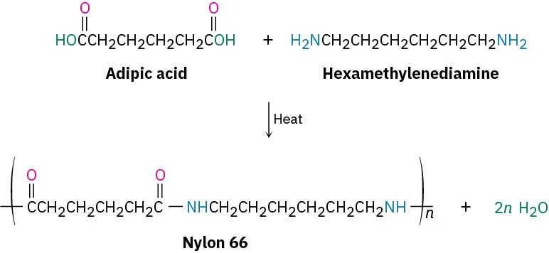 21.10: Polyamides and Polyesters - Step-Growth Polymers - Chemistry ...
