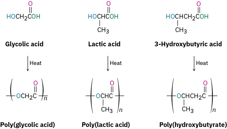 21.10: Polyamides and Polyesters - Step-Growth Polymers - Chemistry LibreTexts