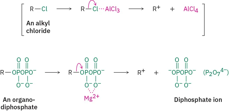 16.3: Alkylation and Acylation of Aromatic Rings - The Friedel-Crafts ...