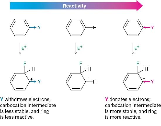 16.4: Substituent Effects in Electrophilic Substitutions - Chemistry ...