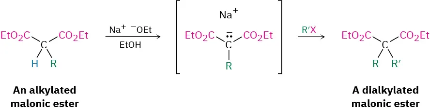 22.7: Alkylation of Enolate Ions - Chemistry LibreTexts