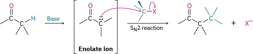 22.8: Alkylation of Enolate Ions - Chemistry LibreTexts