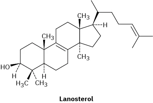 13.9: Additional Problems - Chemistry LibreTexts