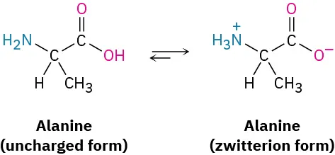 2.10: Organic Acids and Organic Bases - Chemistry LibreTexts