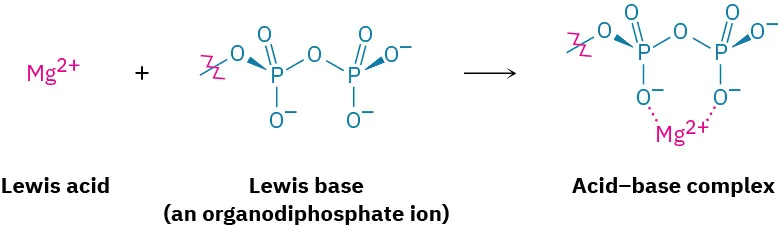 2.12: Acids and Bases - The Lewis Definition - Chemistry LibreTexts