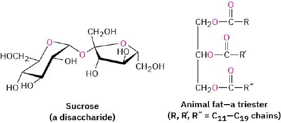 2.3: Intermolecular Forces - Chemistry LibreTexts