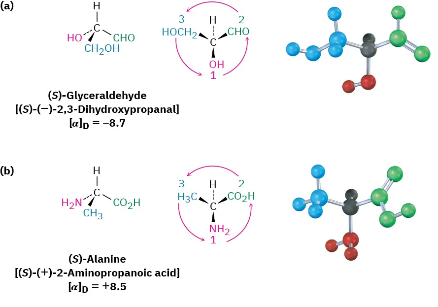 5.5: Sequence Rules for Specifying Configuration - Chemistry LibreTexts