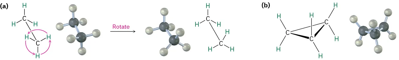 4.2: Cis-Trans Isomerism in Cycloalkanes - Chemistry LibreTexts