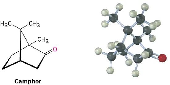 4.9: Conformations of Polycyclic Molecules - Chemistry LibreTexts