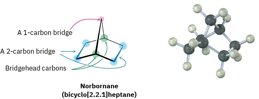4.9: Conformations of Polycyclic Molecules - Chemistry LibreTexts