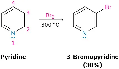 24.10: Heterocyclic Amines - Chemistry LibreTexts