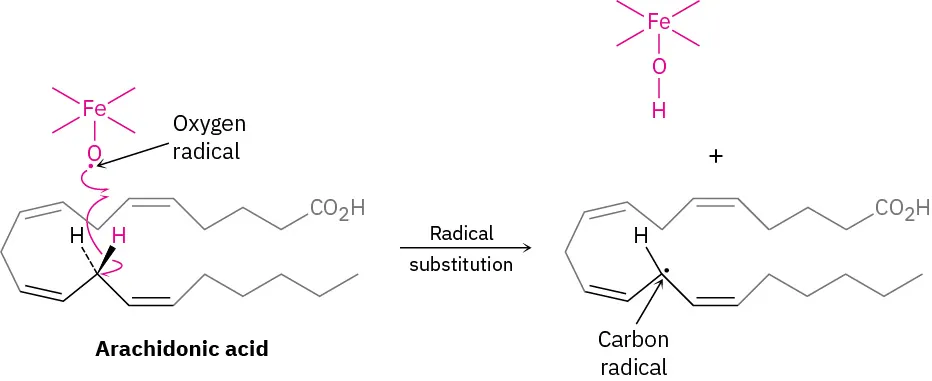 6.7: Radical Reactions - Chemistry LibreTexts