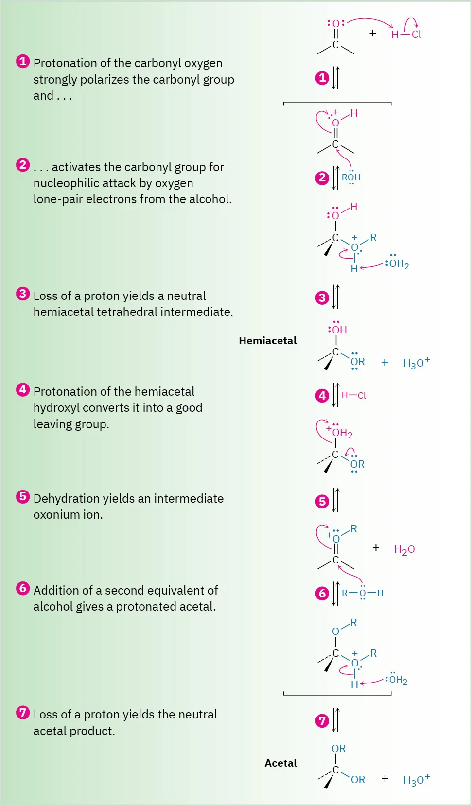 19.11: Nucleophilic Addition of Alcohols- Acetal Formation - Chemistry ...