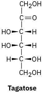 25.2: Classification of Carbohydrates - Chemistry LibreTexts