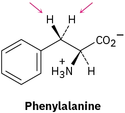 5.12: Prochirality - Chemistry LibreTexts