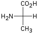 25.2: Representing Carbohydrate Stereochemistry- Fischer Projections ...