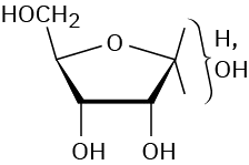 24.6: Cyclic Structures of Monosaccharides - Anomers - Chemistry LibreTexts