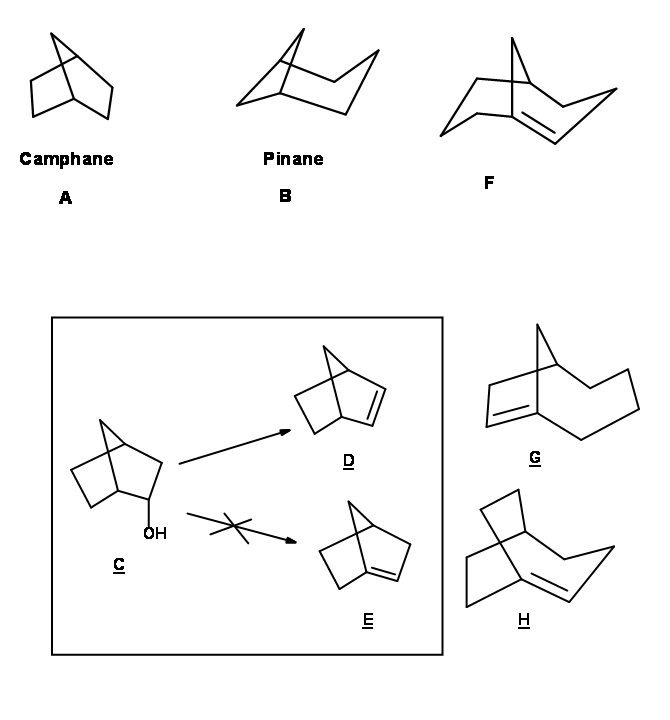 Bredt's Rule - Chemistry LibreTexts