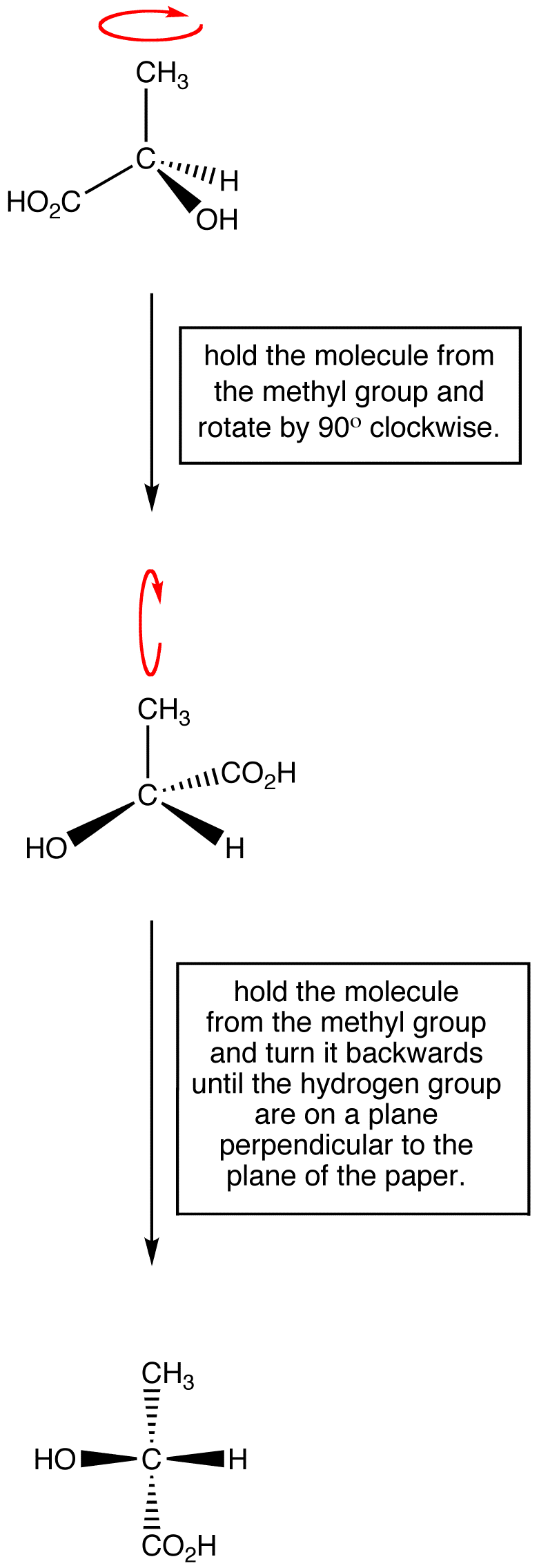 8.3: Depicting Carbohydrate Stereochemistry - Fischer Projections ...