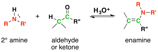 Addition of Secondary Amines to Form Enamines - Chemistry LibreTexts