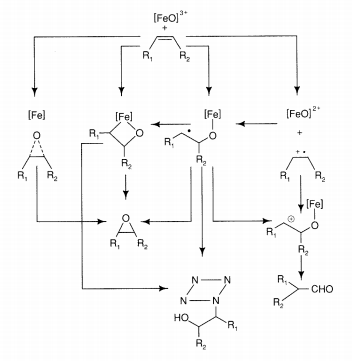 5.6: Monooxygenases - Chemistry LibreTexts