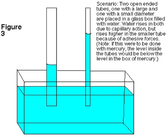 Capillary Action - Chemistry LibreTexts